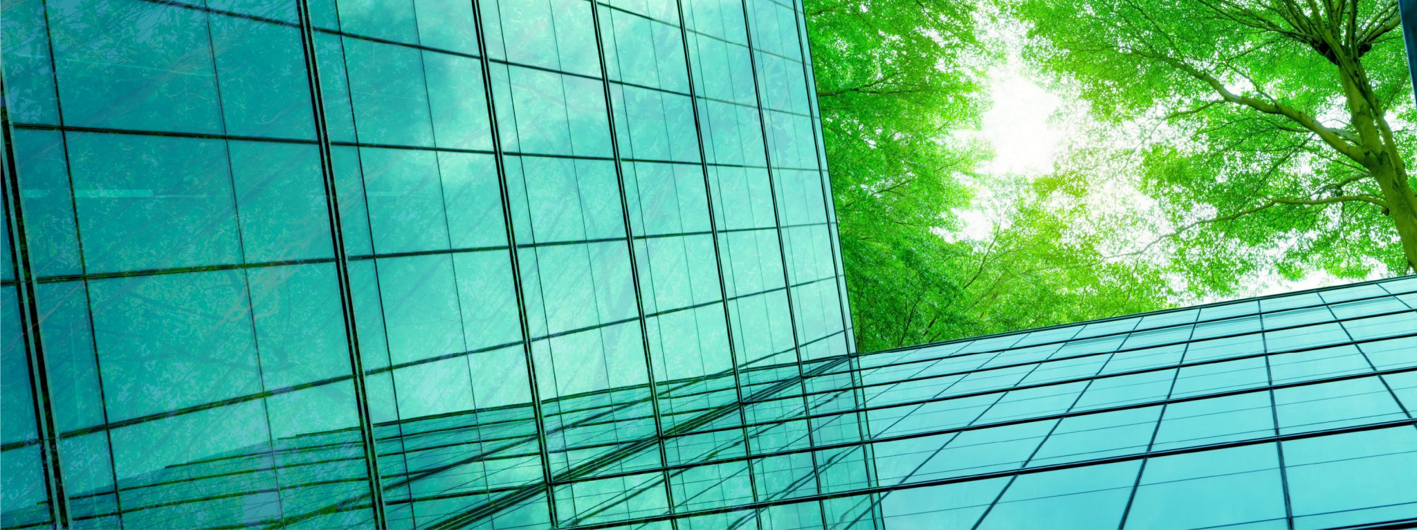 Sustainability at NRI – Nuclear Risk Insurers